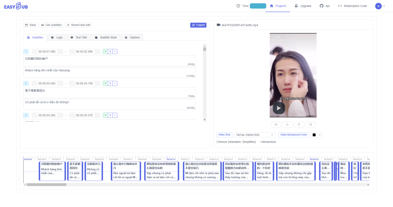 Add Chinese Subtitles Online Free - EasySub